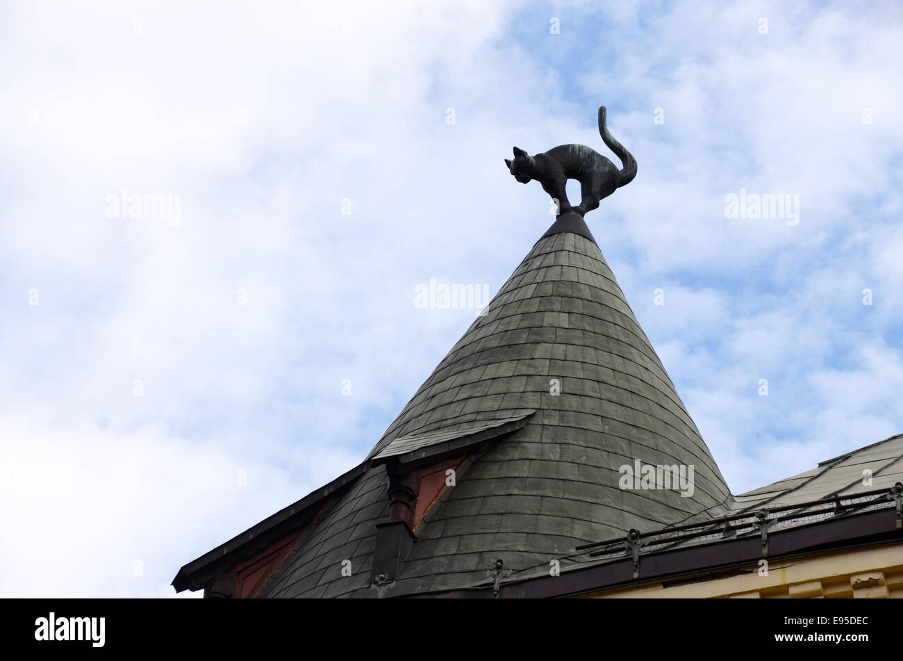 the cat house riga latvia Stock Photo - Alamy