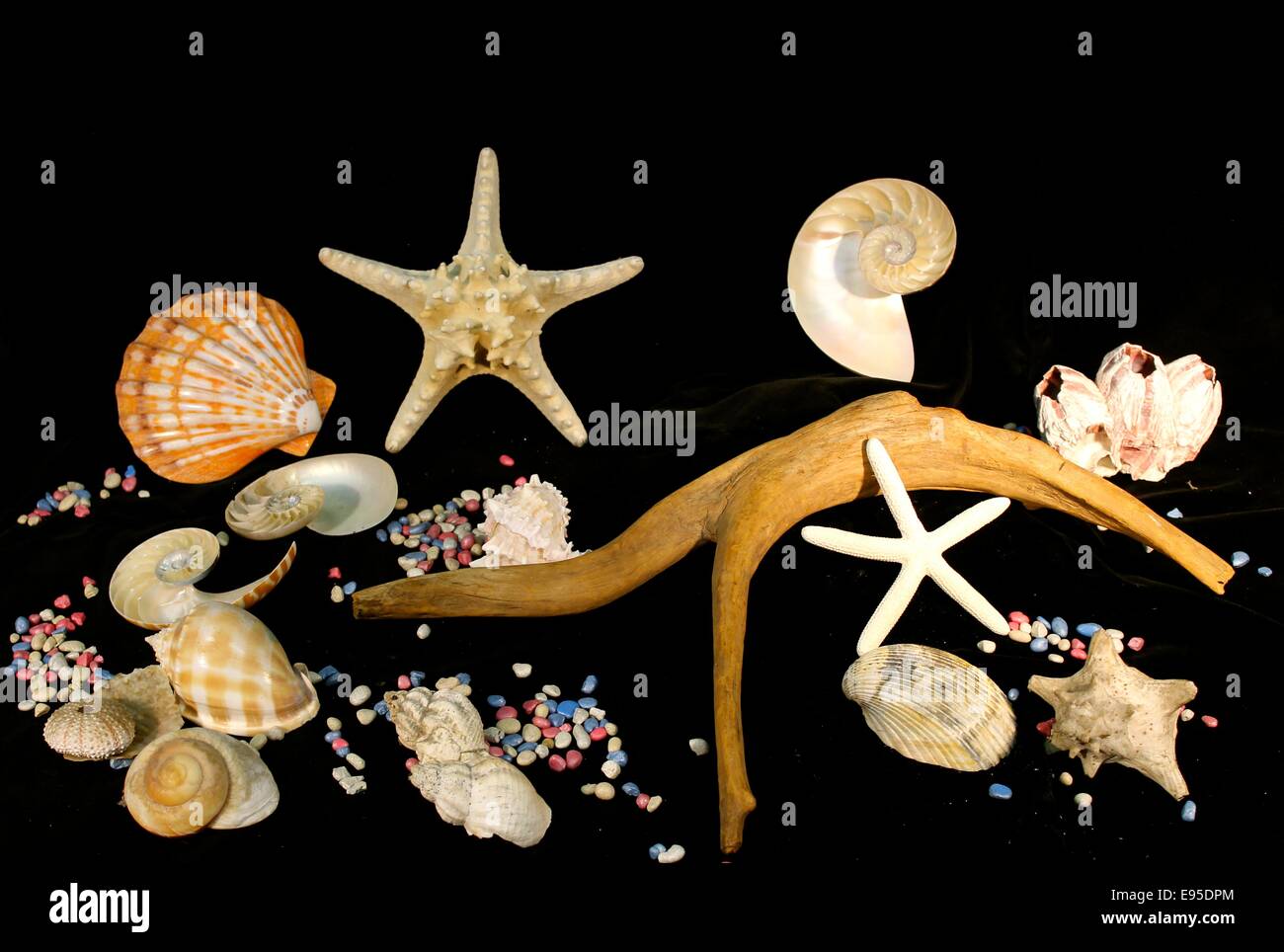 Gifts of the sea Stock Photo - Alamy