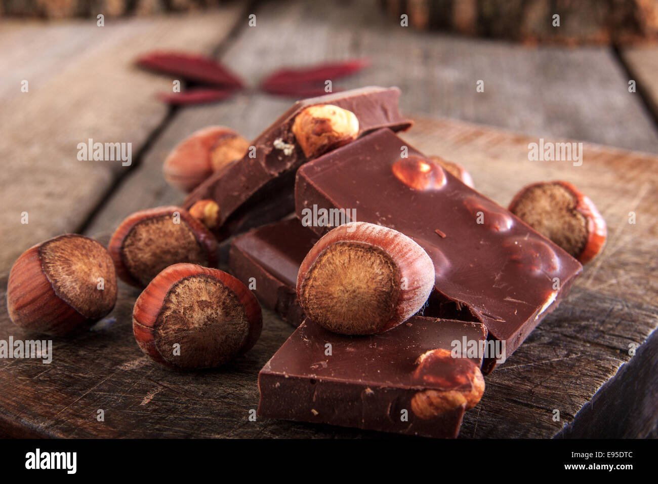 A stack of chocolate with hazelnuts on wooden table in warm style Stock ...