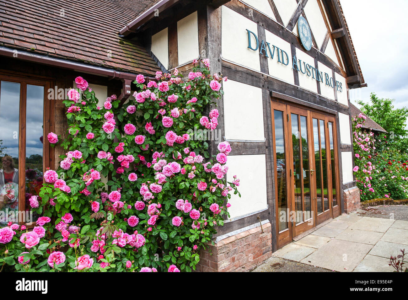 The entrance to David Austin rose garden Albrighton Shropshire England ...