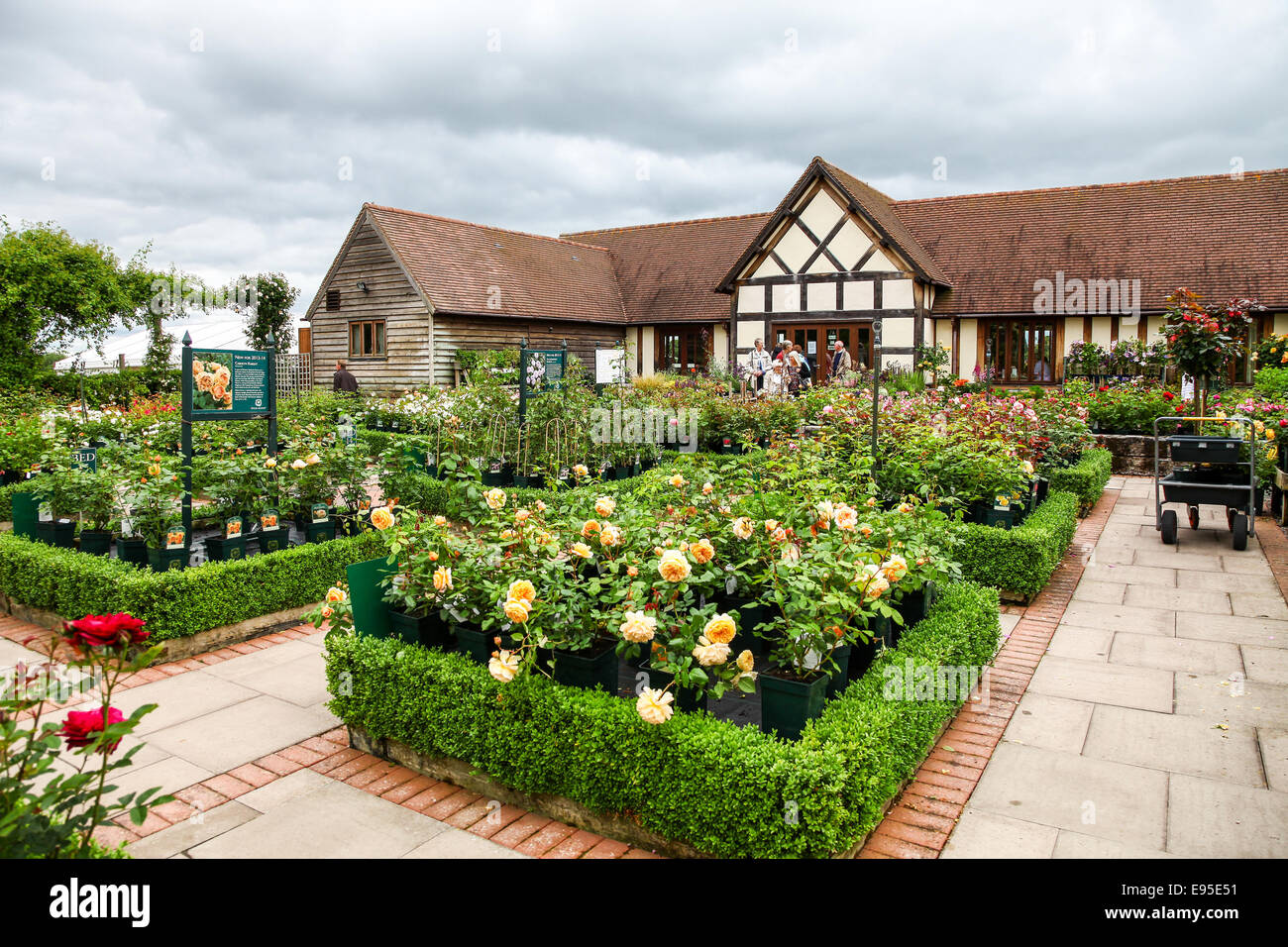 The entrance to David Austin rose garden Albrighton Shropshire England ...