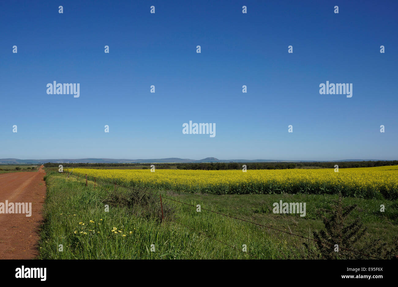 Farm road fields farming agriculture boland western cape province hi ...