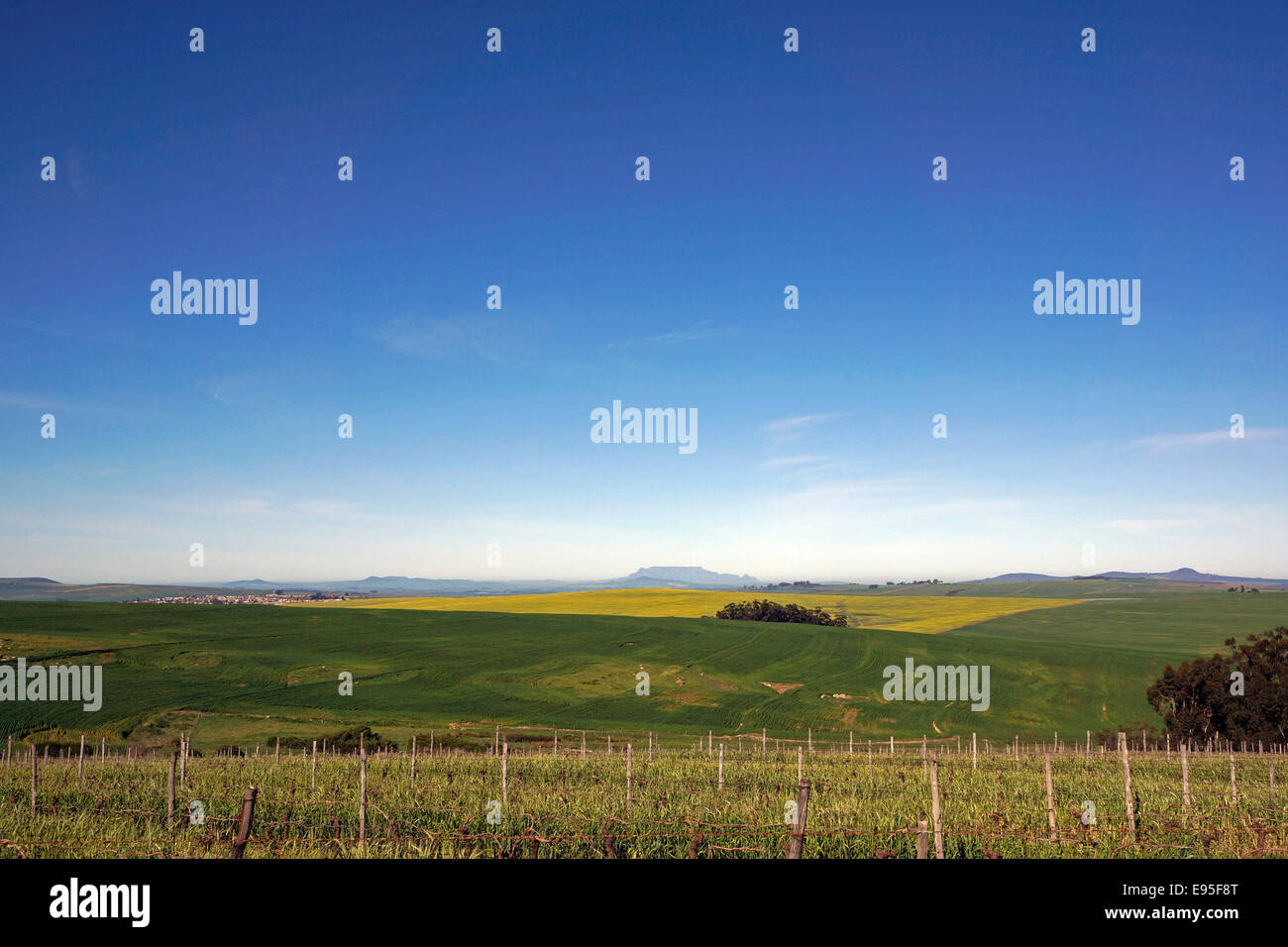 Farm fields farming agriculture western cape province hi-res stock ...