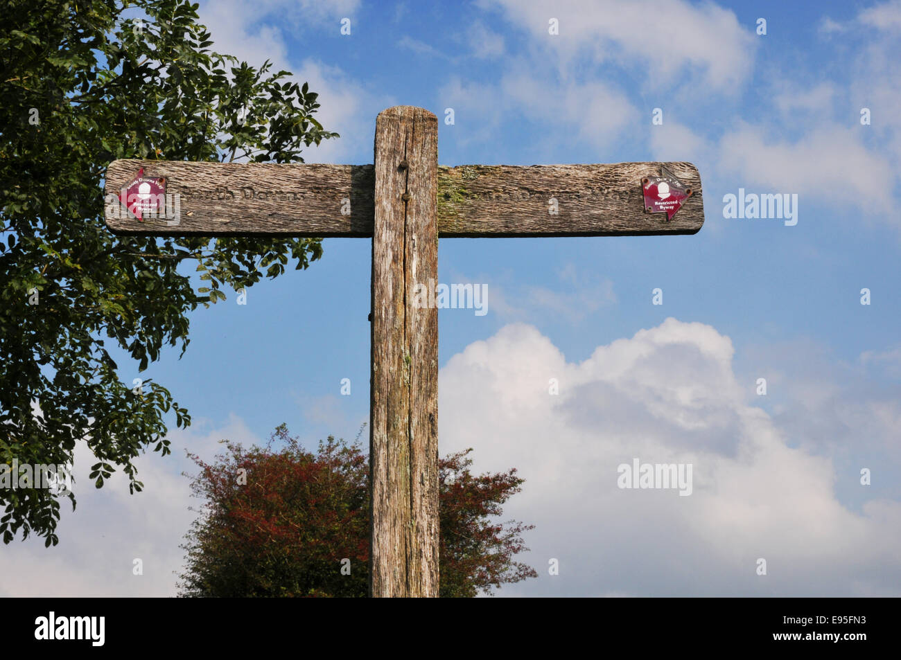 sign post, south downs way Stock Photo - Alamy