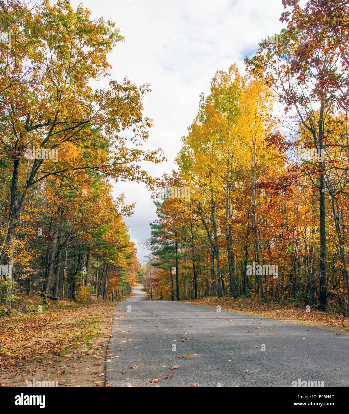 Country Road with Fall foliage along both sides Stock Photo - Alamy