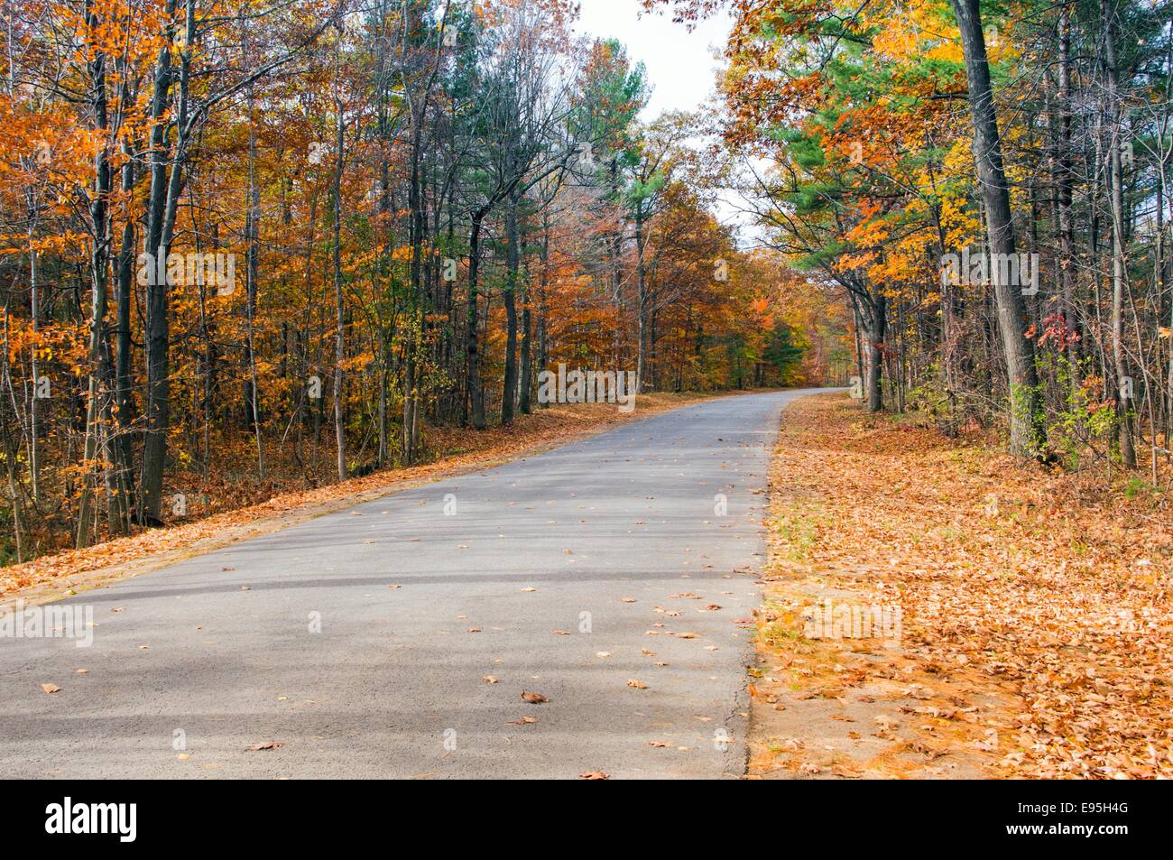 Country Road with Fall foliage along both sides Stock Photo - Alamy