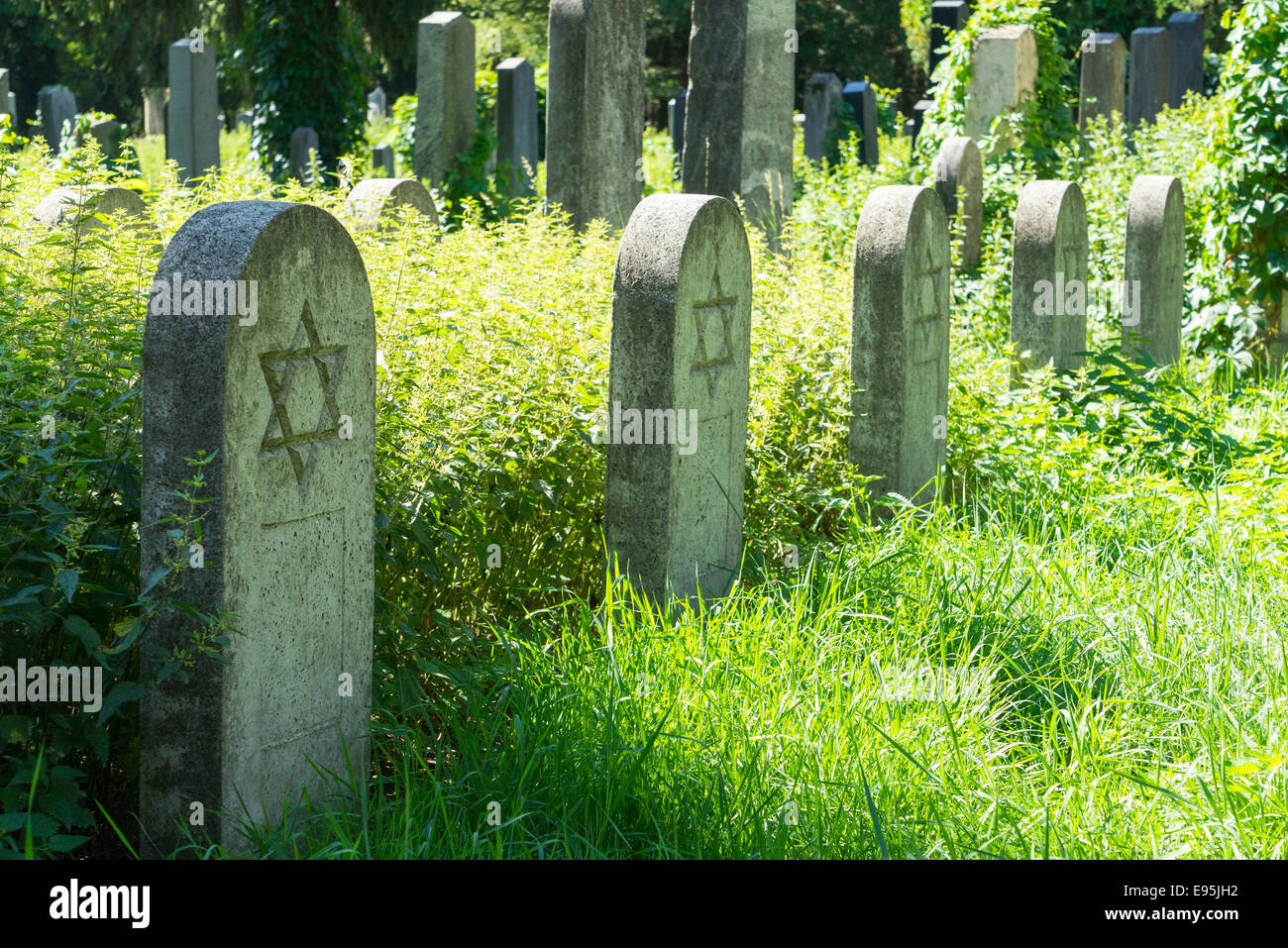 Jewish grave headstones - image taken at the Central Cemetery, Vienna ...