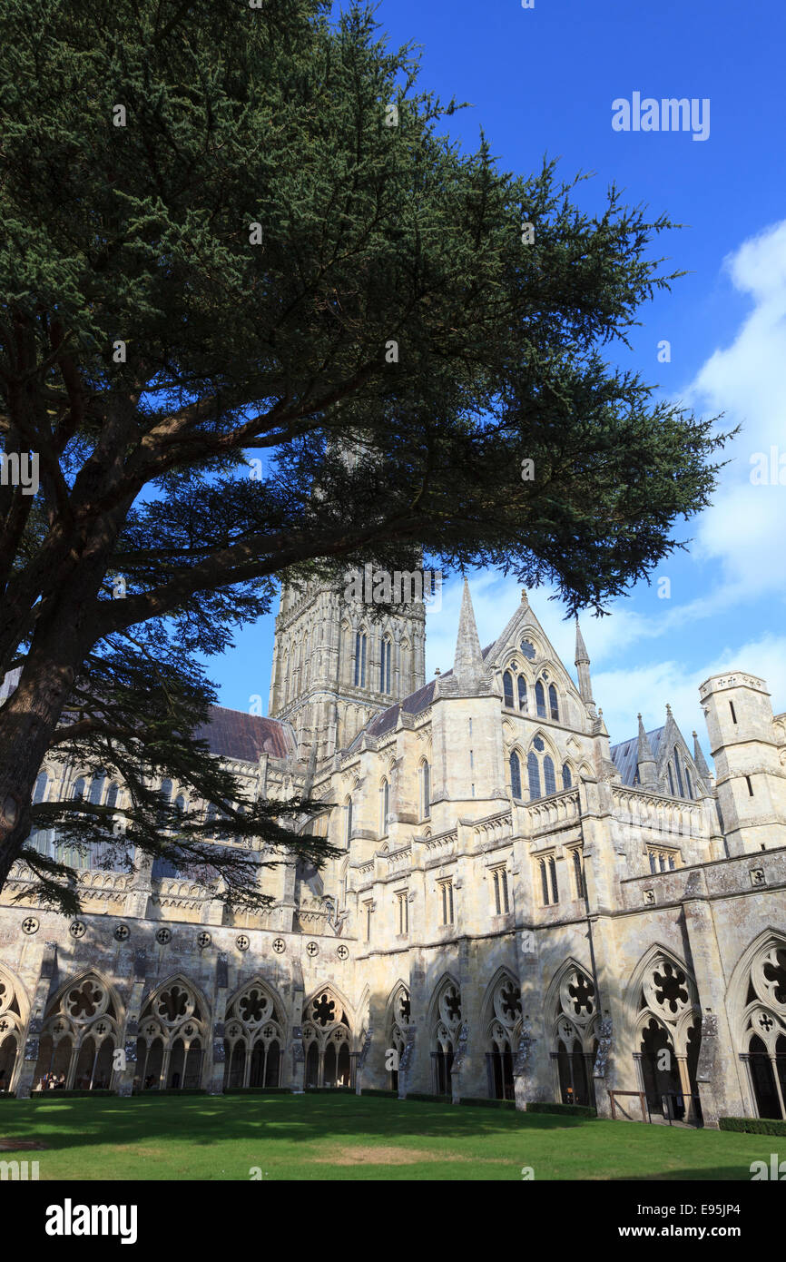 Cathedral England Salisbury Wiltshire Close Historical Buildings Stock ...