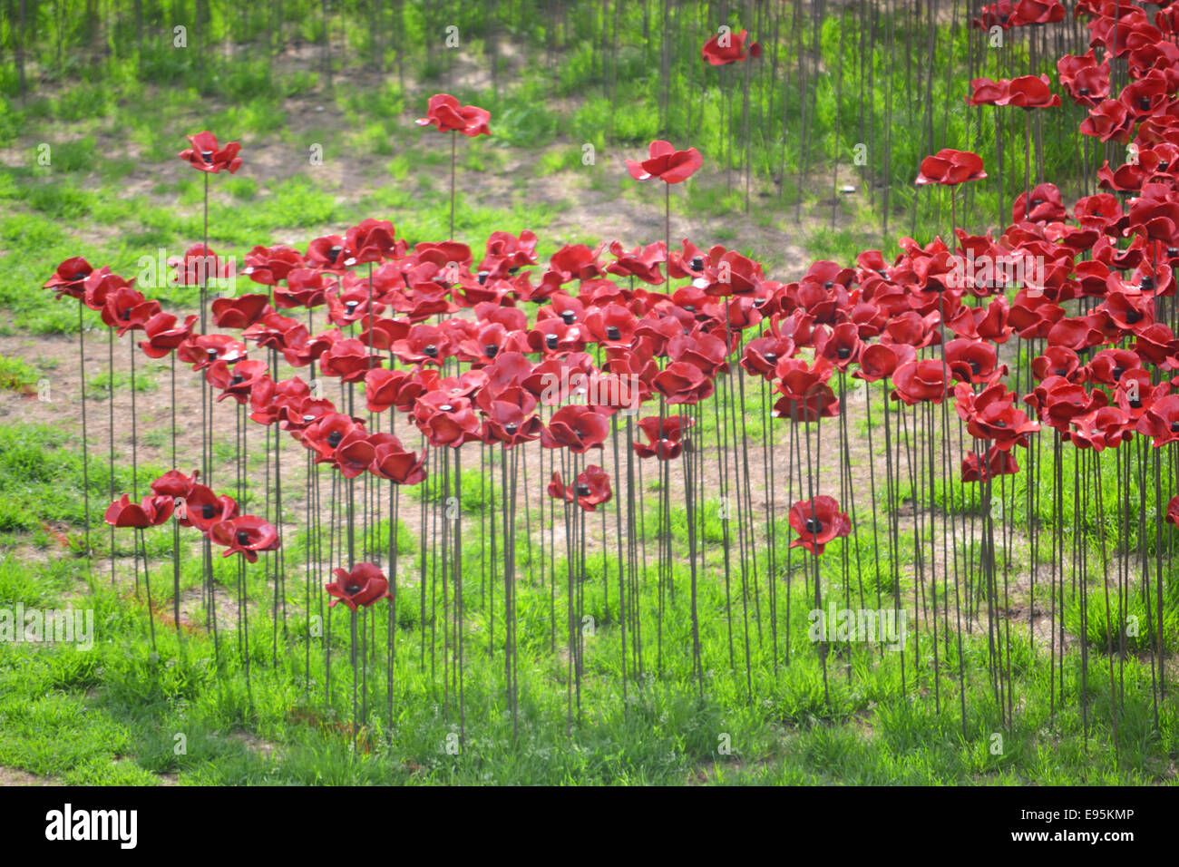 Poppy art installation moat hi-res stock photography and images - Alamy