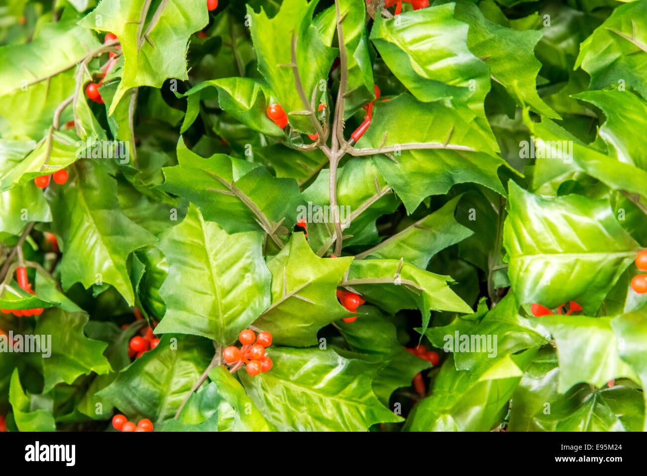 Christmas decorations - holly with berries Stock Photo - Alamy