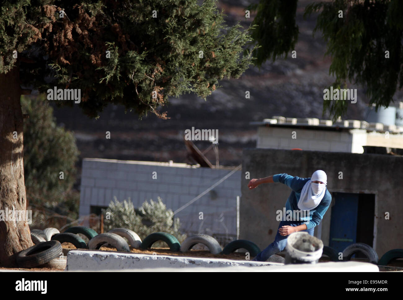Sinjel, West Bank, Palestinian Territory. 20th Oct, 2014. A Palestinian ...