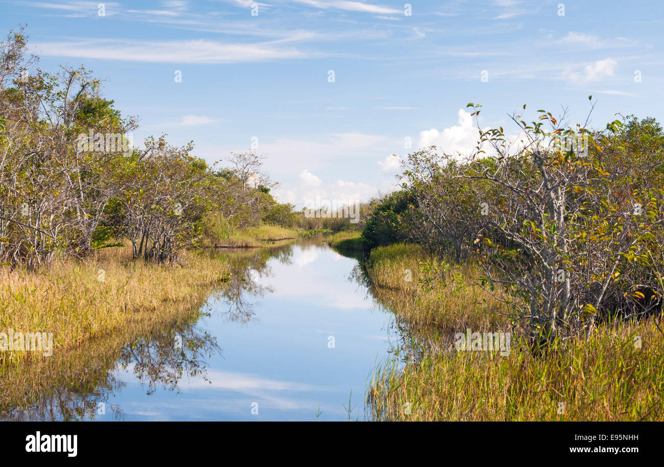 Everglades waterway scenic view Stock Photo - Alamy