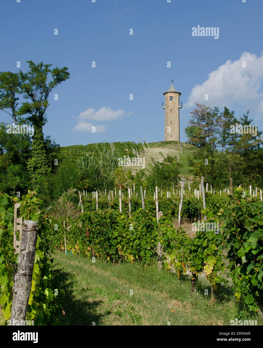 Contini hi-res stock photography and images - Alamy