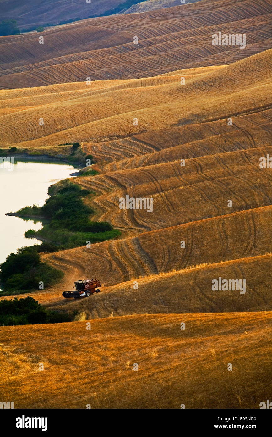 europe, italy, tuscany, crete senesi Stock Photo - Alamy