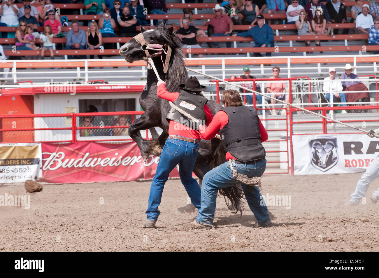 Aboriginal cowboys hi-res stock photography and images - Alamy