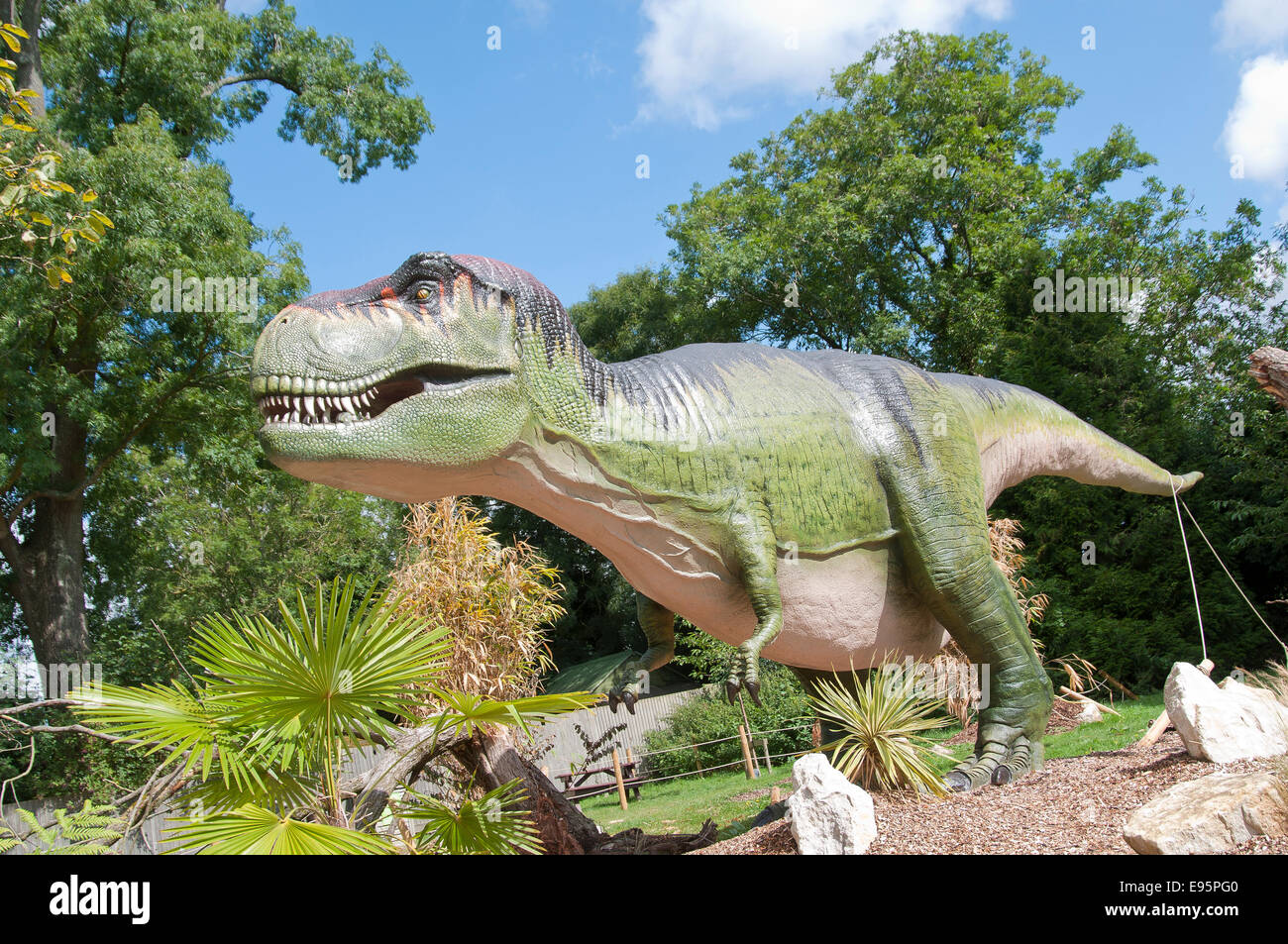 T Rex, dinosaur model, Tyrannosaurus Rex monster Stock Photo - Alamy