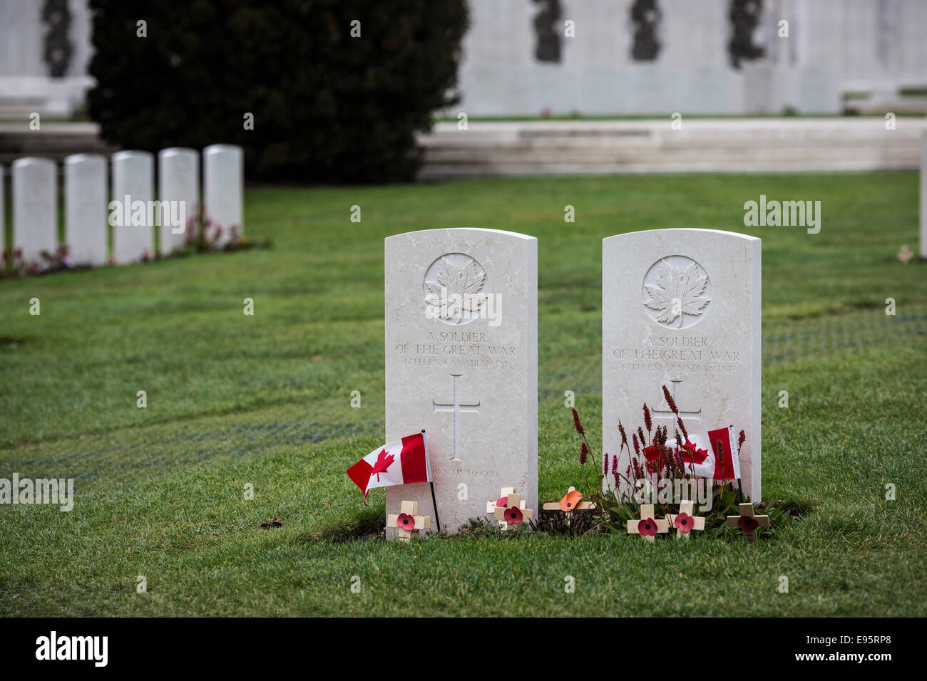 Canadian gravestones at Tyne Cot Cemetery in Zonnebeke, Belgium Stock ...