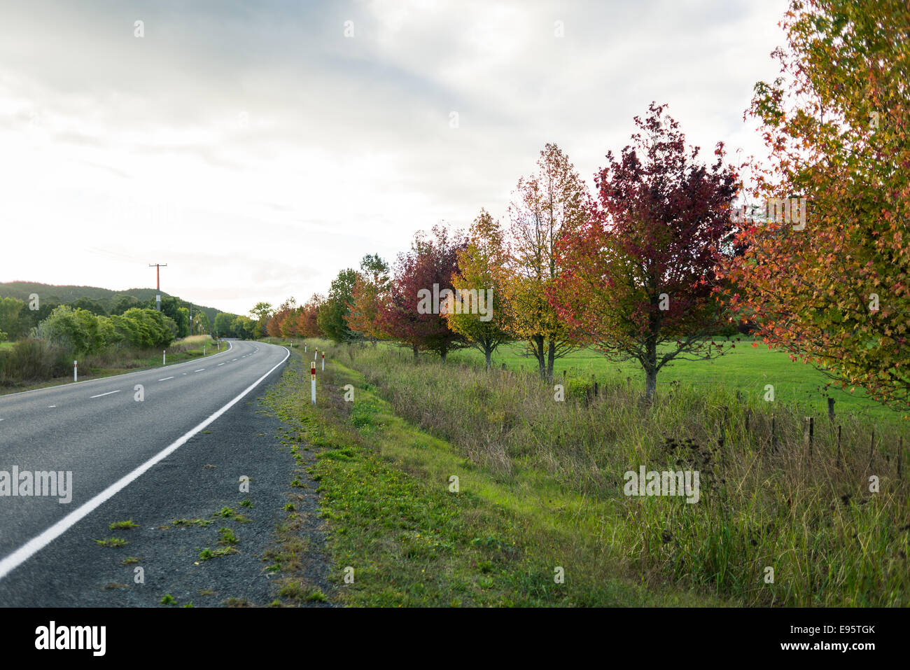 New zealand road autumn hi-res stock photography and images - Alamy