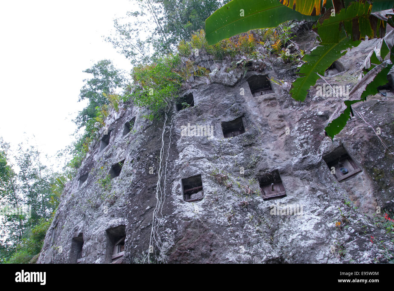 famous tau tau at lemo sulawesi indonesia Stock Photo - Alamy