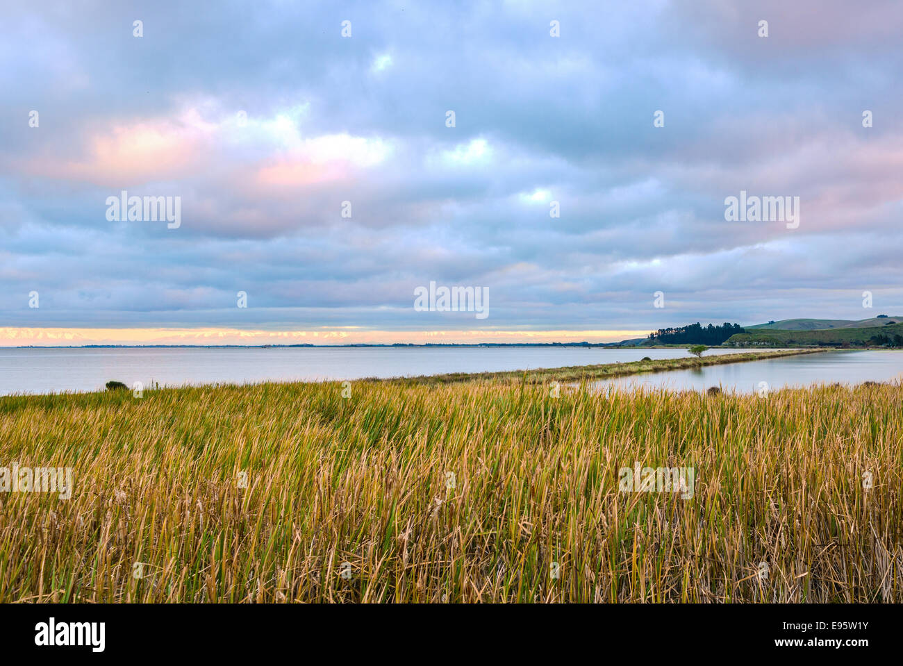 Southern Alps over Lake Ellesmere, Banks Peninsula, New Zealand Stock ...