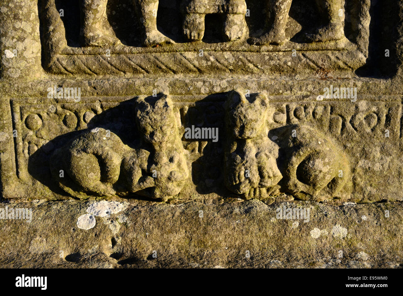 Panel detail showing cats and inscription Closeup Cross of Muiredach ...