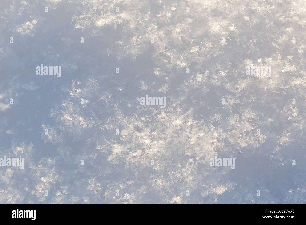 Pure white snow texture cold hi-res stock photography and images - Alamy