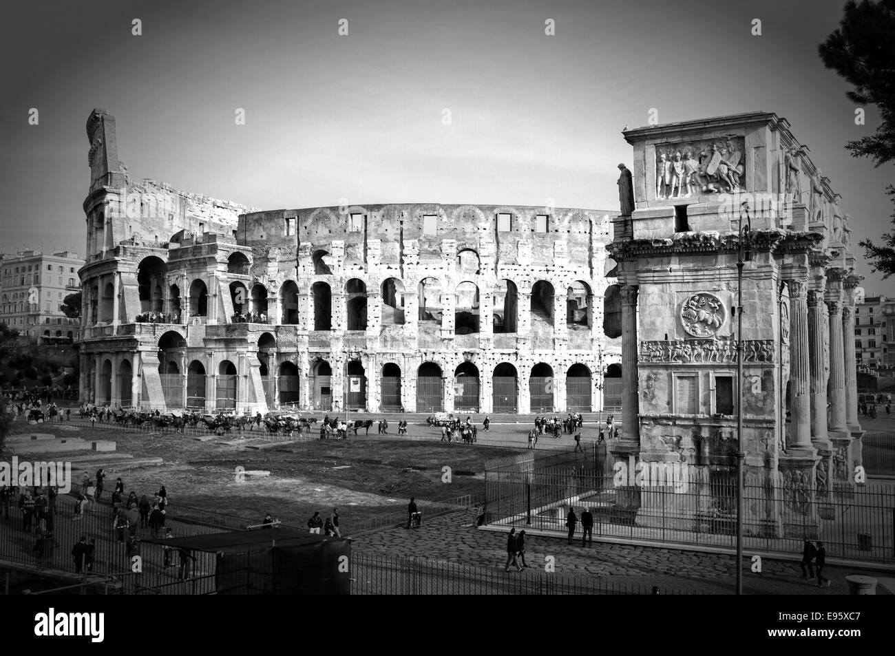 view of the Colosseum Amphitheater in Rome Stock Photo - Alamy