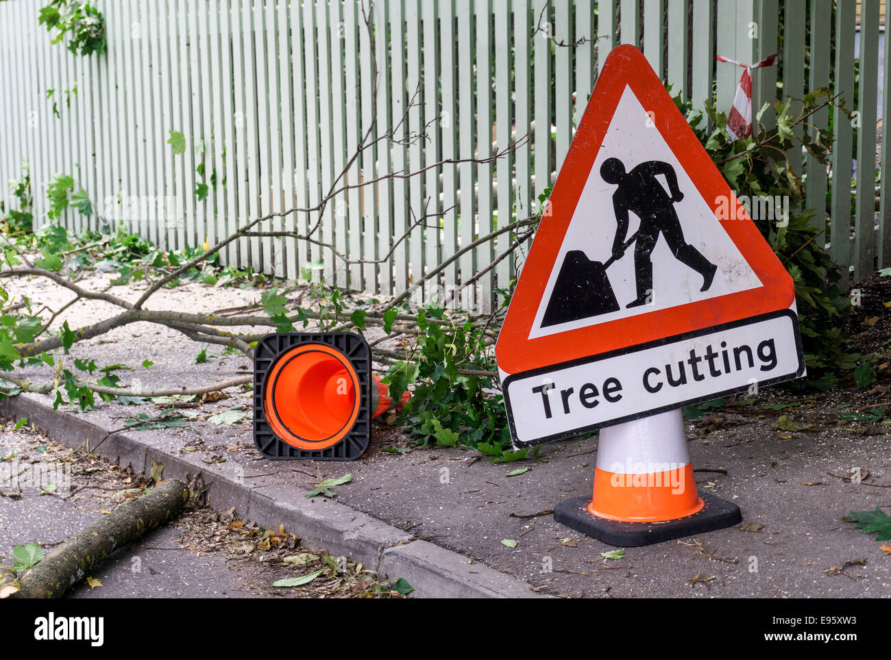 Tree cutting safety sign and cone on the street warning about of danger ...
