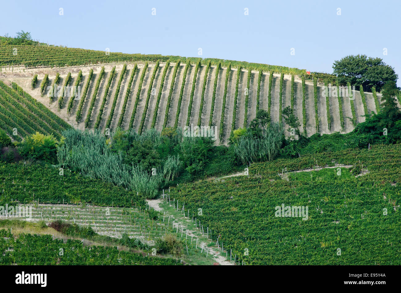 Canelli italy hi-res stock photography and images - Alamy