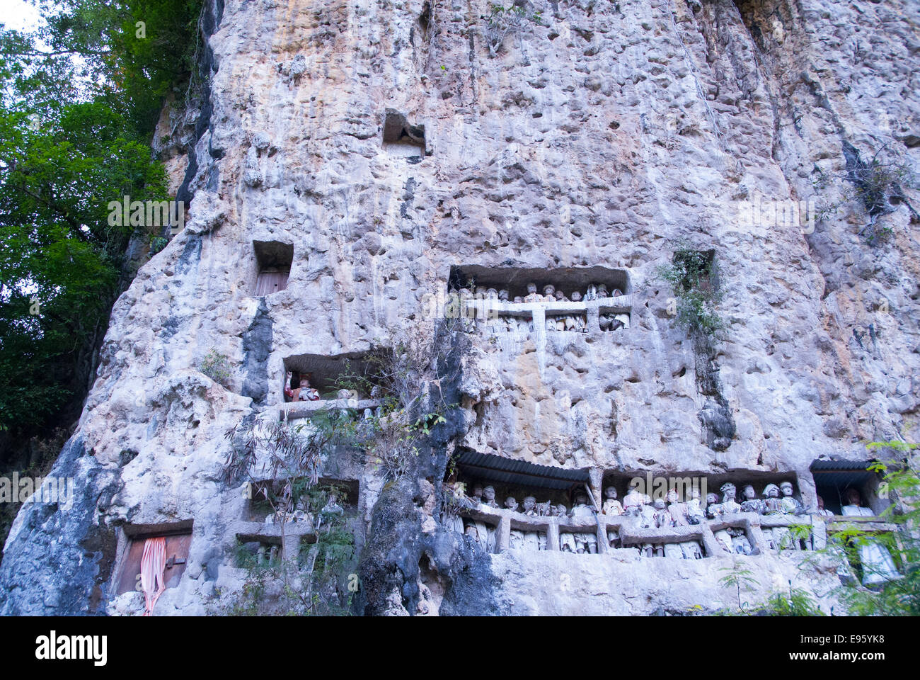 tau tau at sulawesi indonesia Stock Photo - Alamy