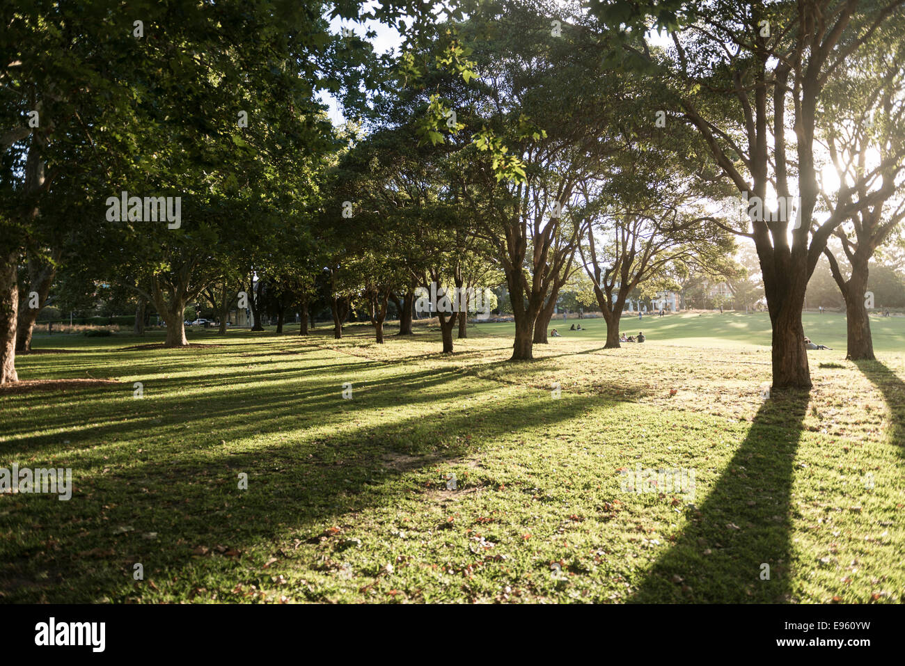 The sun shines in the afternoon hi-res stock photography and images - Alamy