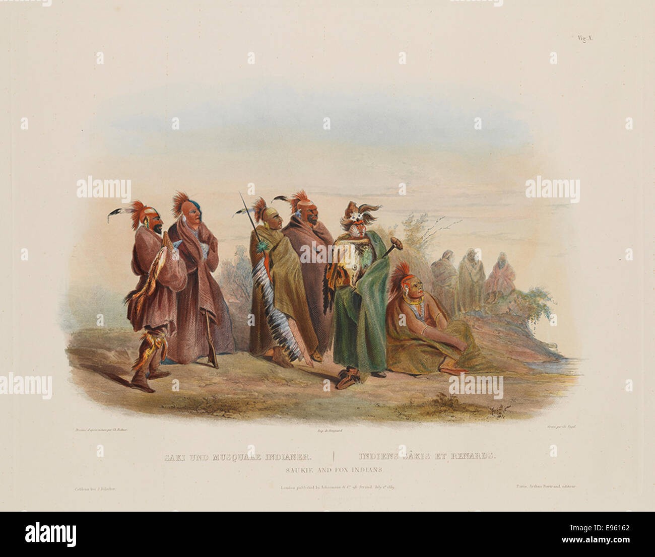 Fox tribe hi-res stock photography and images - Alamy