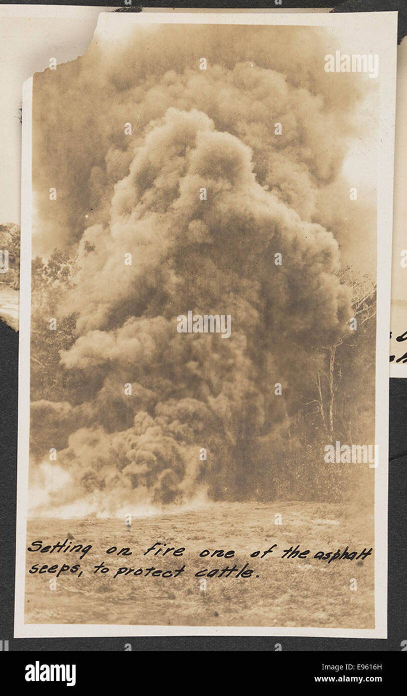 Seep operations hi-res stock photography and images - Alamy