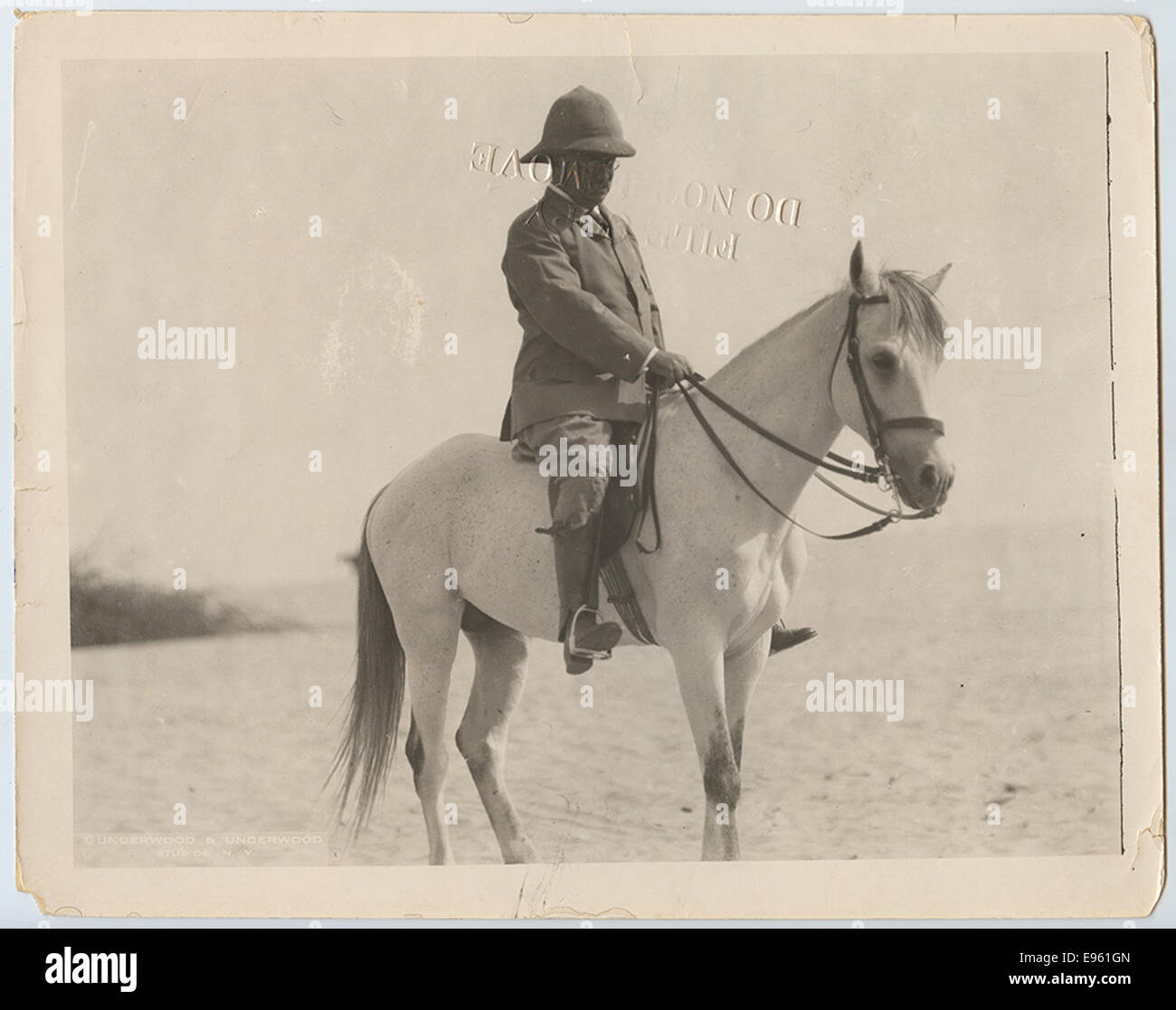 Colonel theodore roosevelt hi-res stock photography and images - Alamy