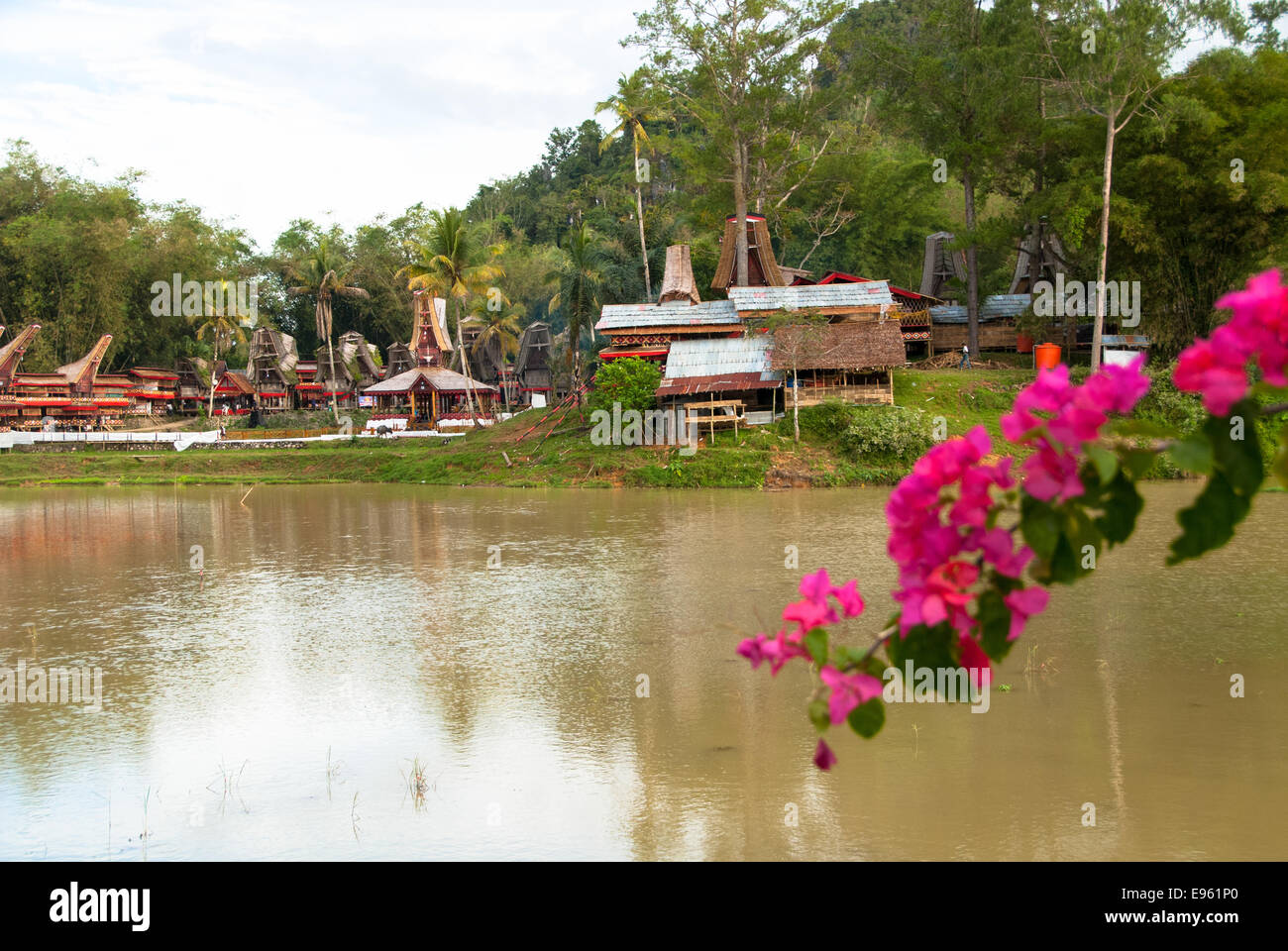 kete kesu, a traditional village in tanah toraja in sulawesi in ...