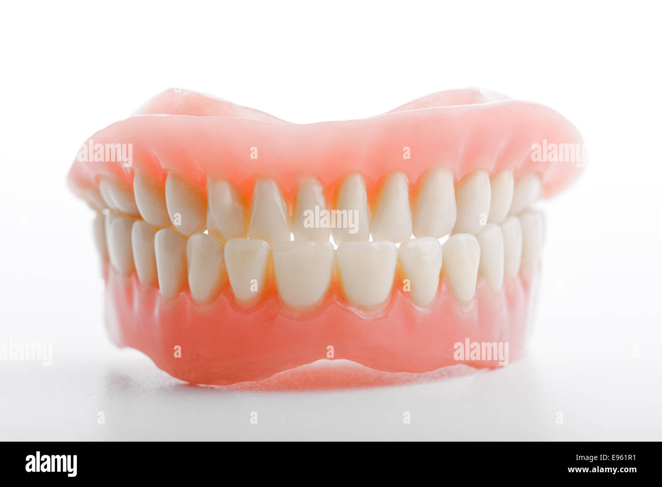 Model of medical denture wax gum prosthesis with teeth on white ...