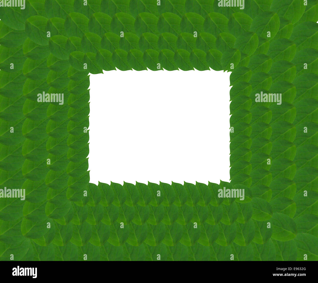 Pattern from green abstract square frame from leaves Stock Photo - Alamy