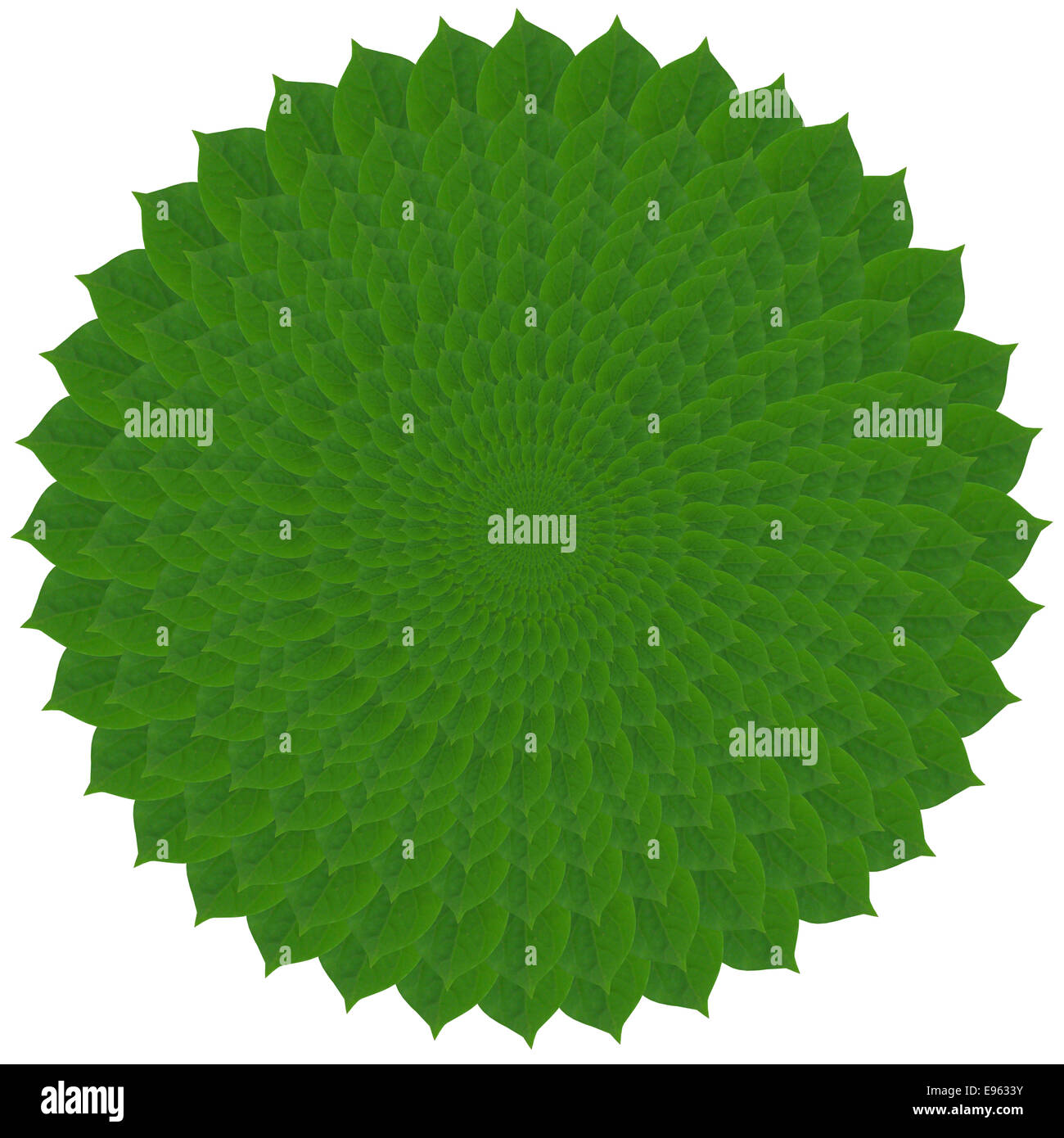 Spiral leaf pattern hi-res stock photography and images - Alamy