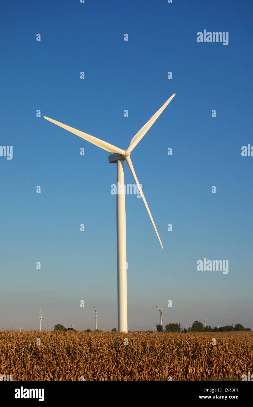 Wind turbines and cornfield. Northern Indiana Stock Photo - Alamy