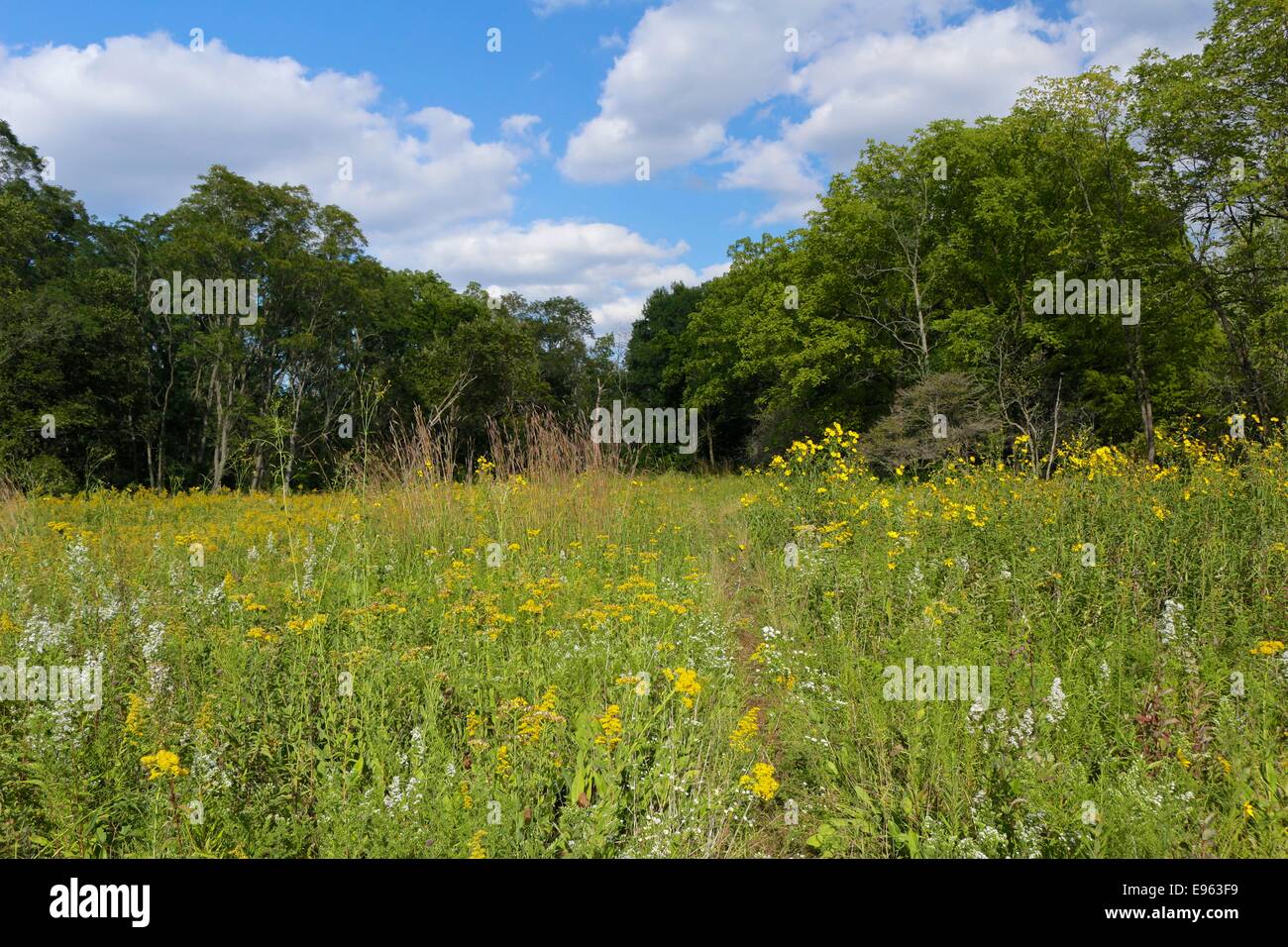Prairie State Illinois