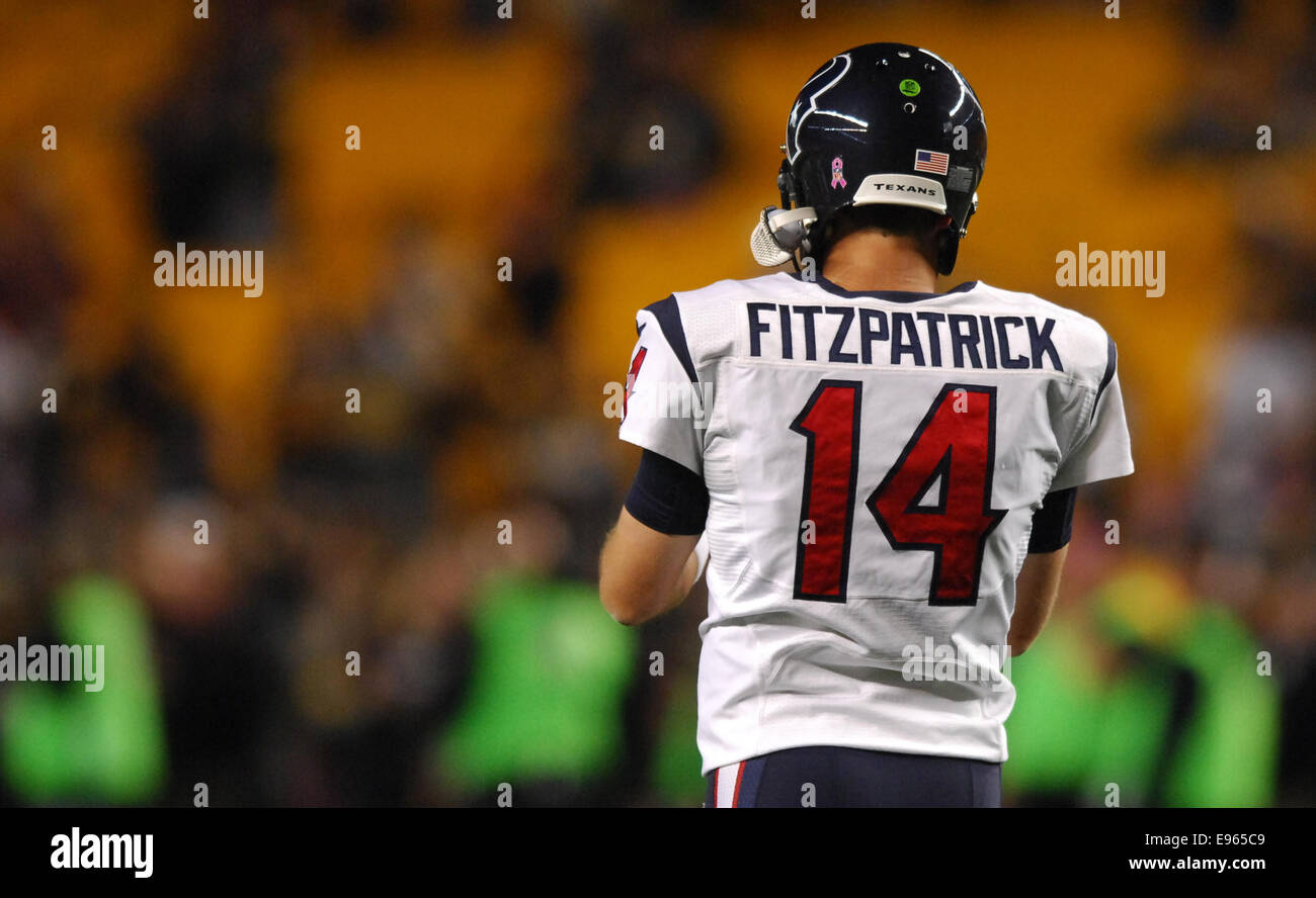 Pittsburgh, USA. 20th Oct, 2014. Ryan Fitzpatrick #14 during the ...