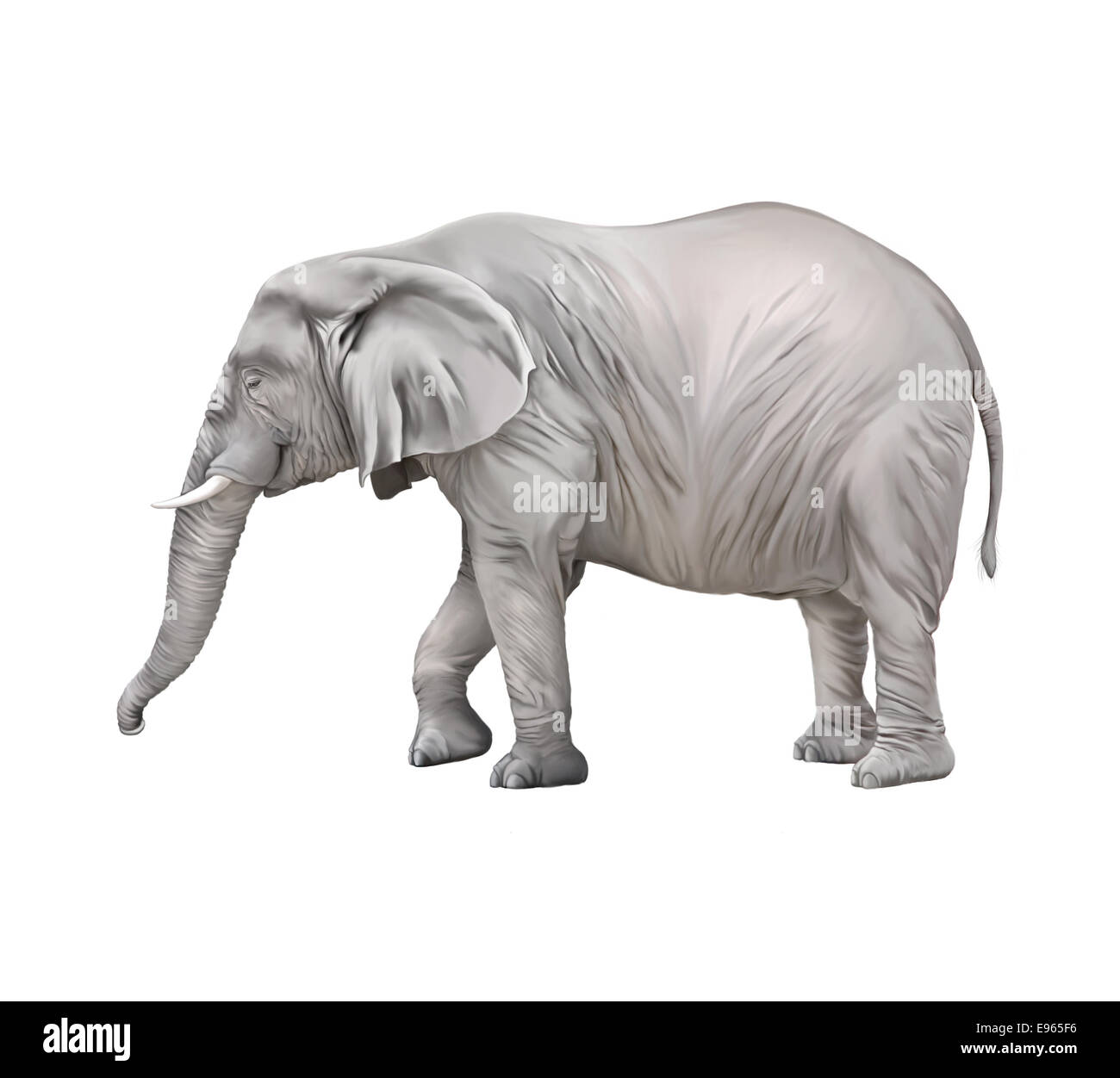 African elephant side view Cut Out Stock Images & Pictures - Alamy