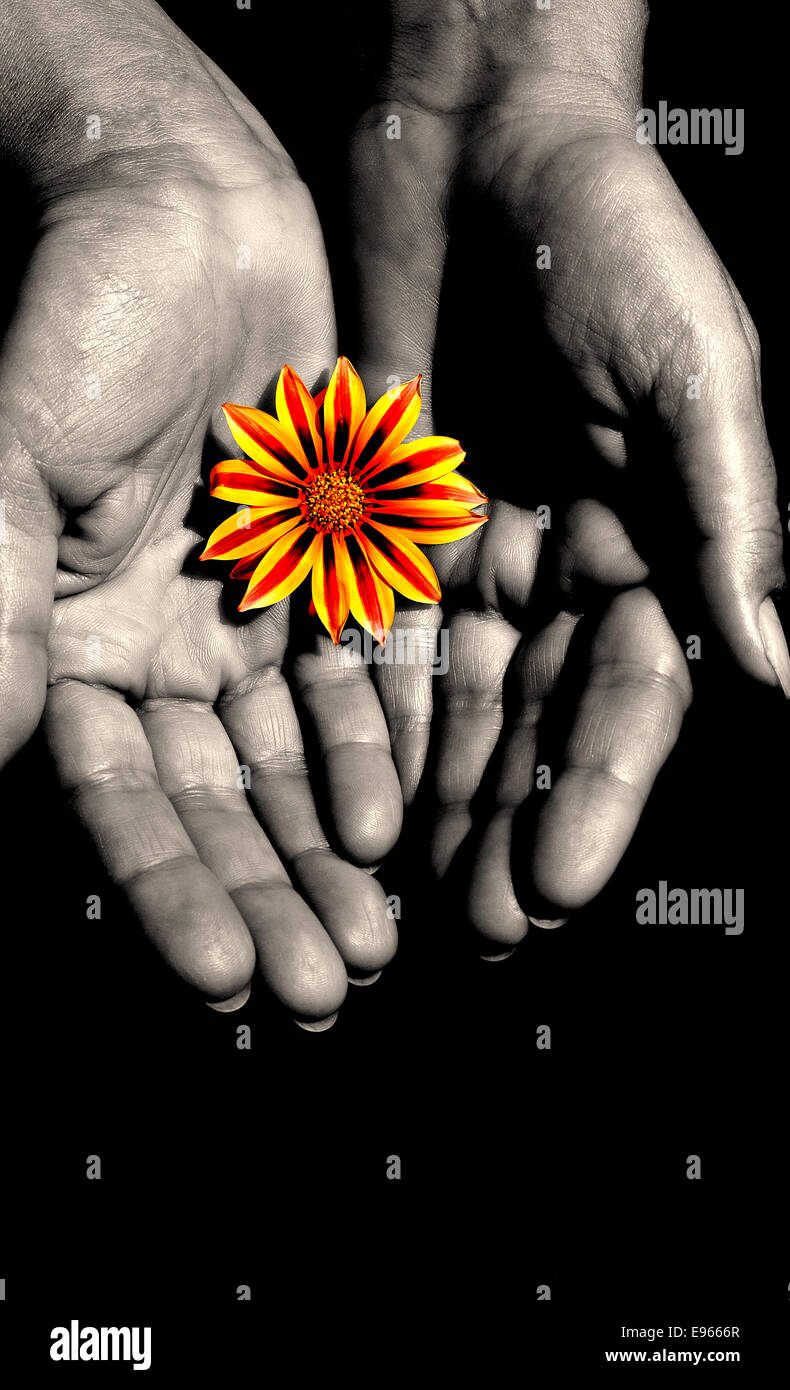 A colorful offering in a black and white surrounding Stock Photo - Alamy
