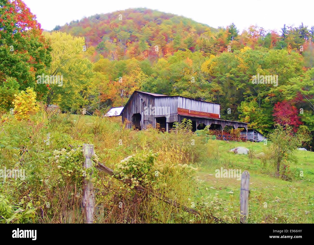 OLD, WEATHERED TENNESSEE BARN AND BRIGHT AUTUMN COLORS Stock Photo - Alamy