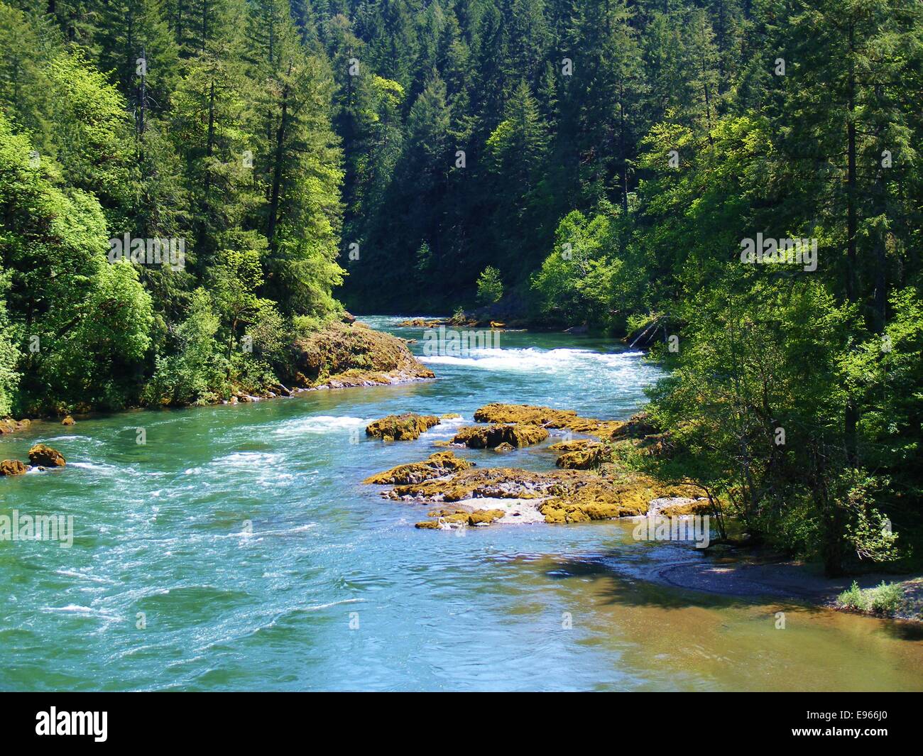 BEAUTIFUL WILD FLOWING OREGON RIVER Stock Photo - Alamy