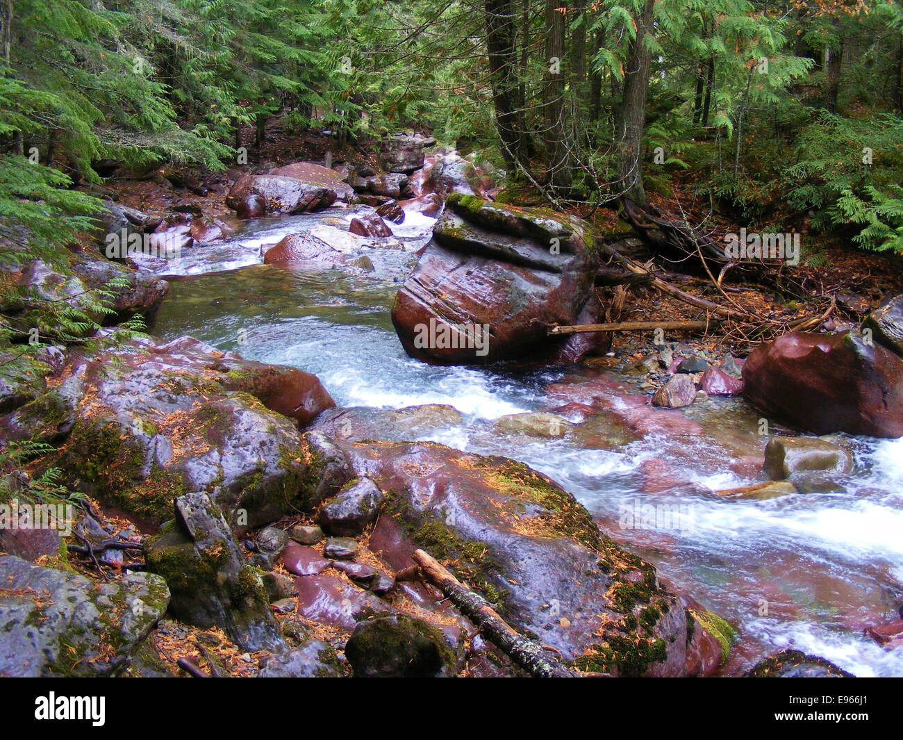 RUSHING MONTANA RIVER WITH SHINY RED ROCKS Stock Photo - Alamy