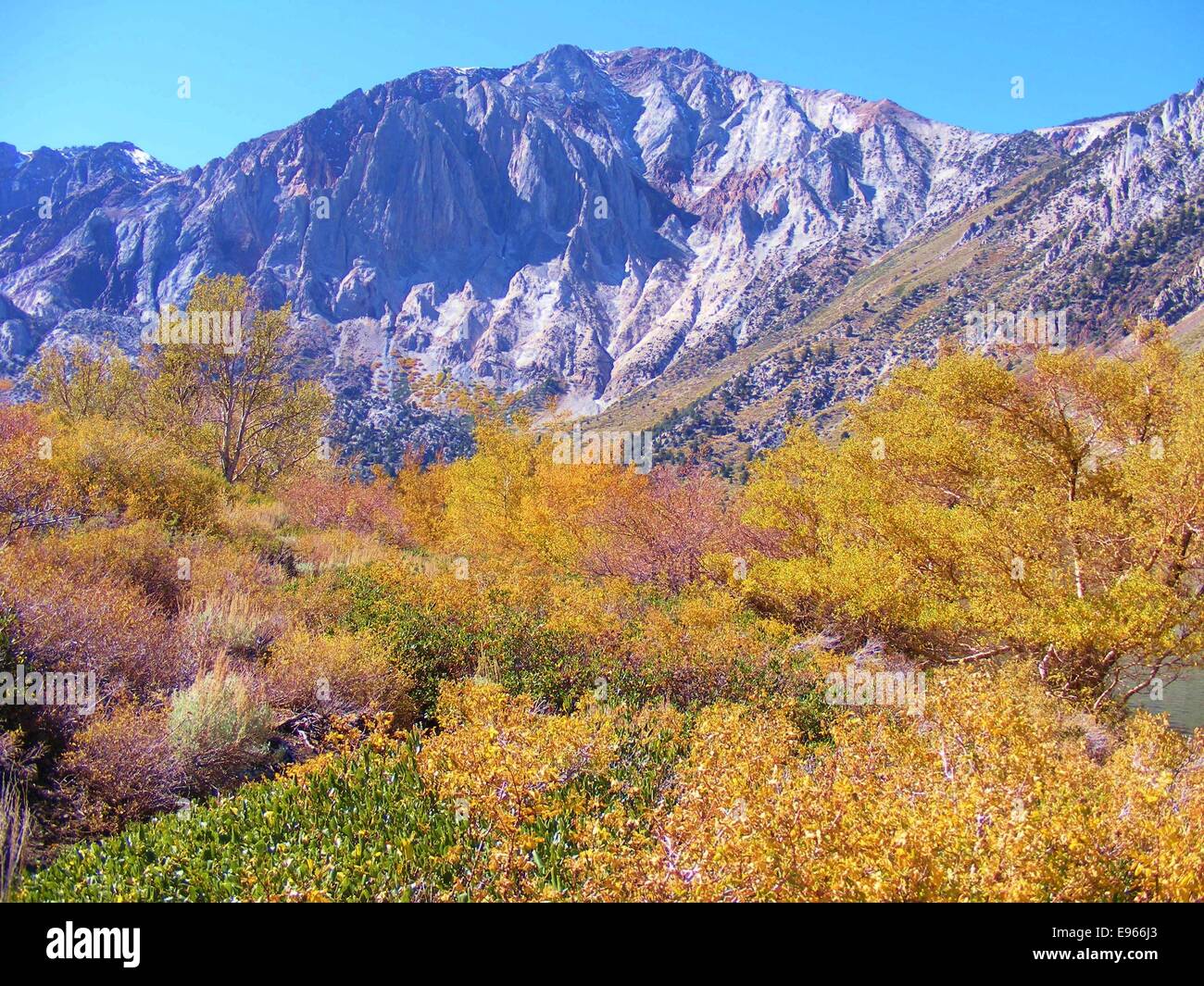 MAMMOTH MOUNTAIN RANGE WITH SURROUNDING BRIGHT FALL COLOR Stock Photo ...