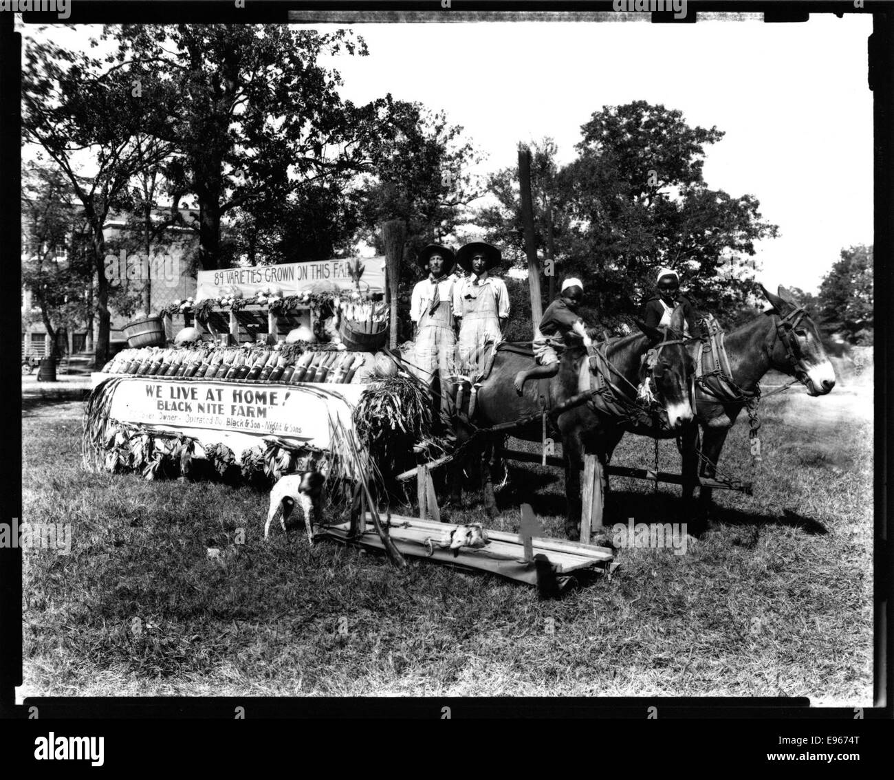 Photograph of Black Nite Farm, showcasing its agricultural landscape ...