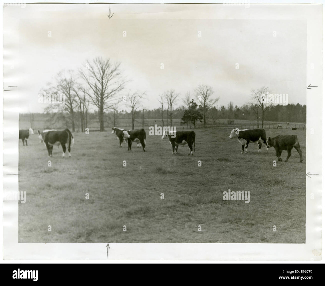 A photograph of a farmer involved in a cooperative, capturing the ...