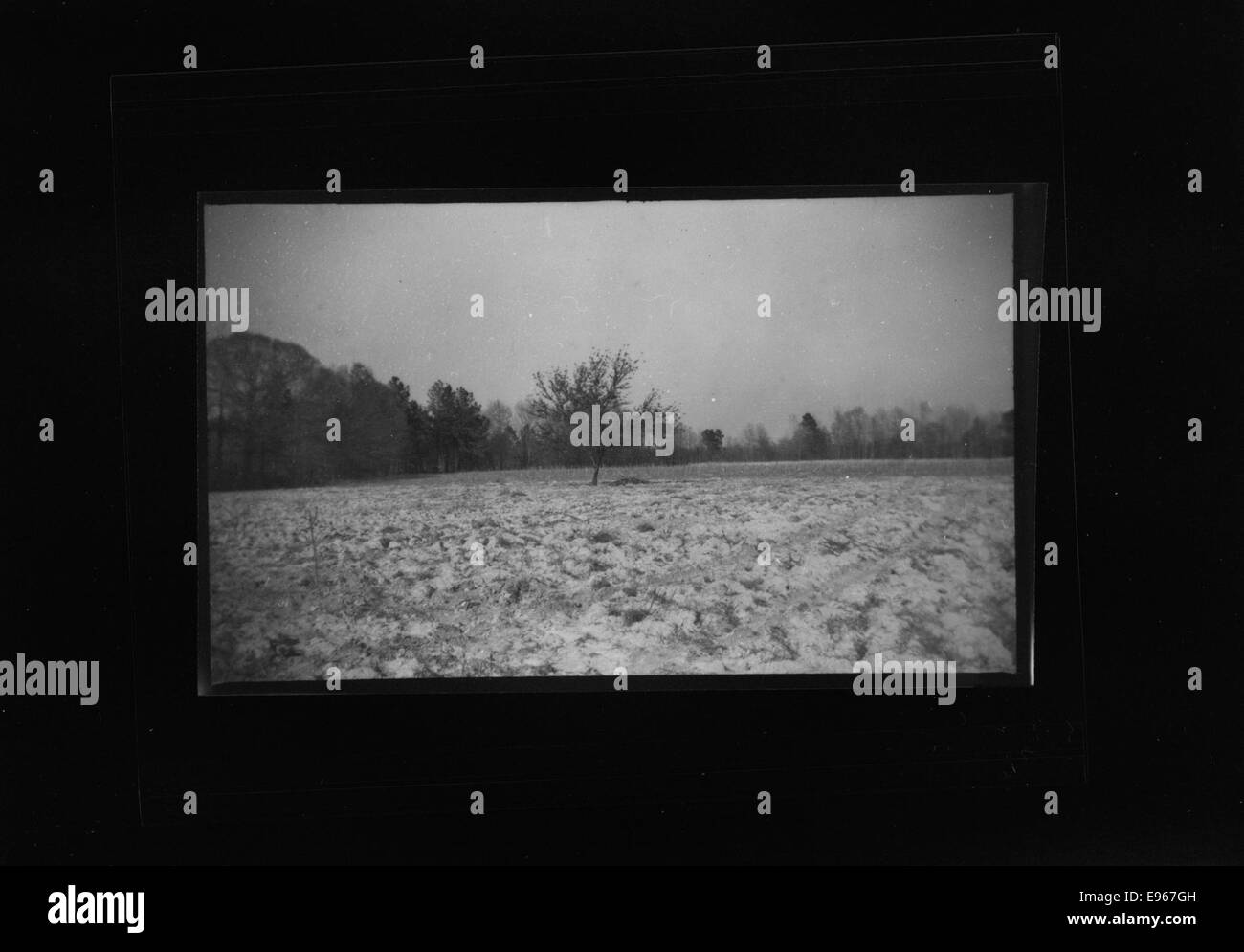 Ms dixie hi-res stock photography and images - Alamy